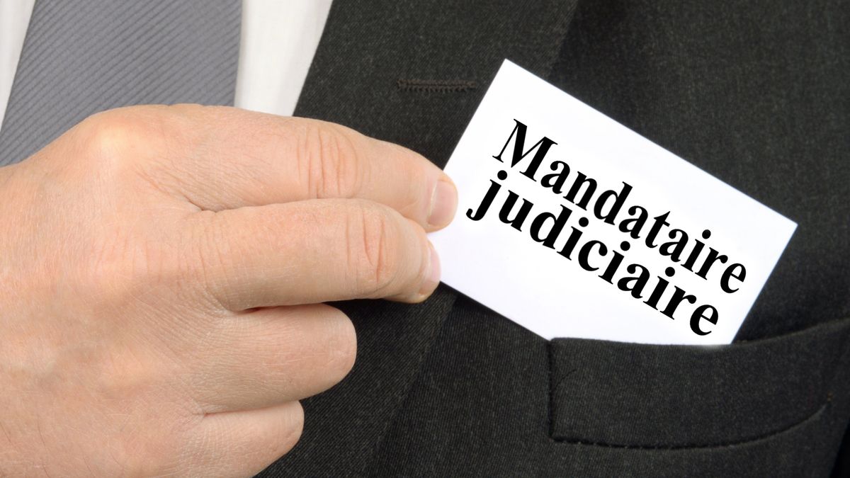 Les pratiques des mandataires judiciaires en question [LE MONDE] – Blog Atos Bourse
